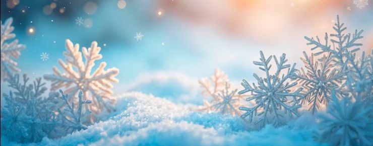 Что стар, что млад