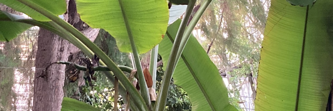 Стихия моей души