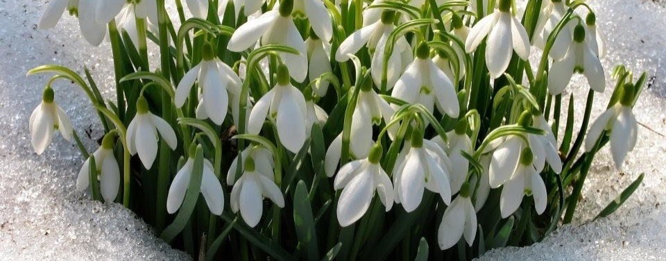 Зима ❄️ пора чудес