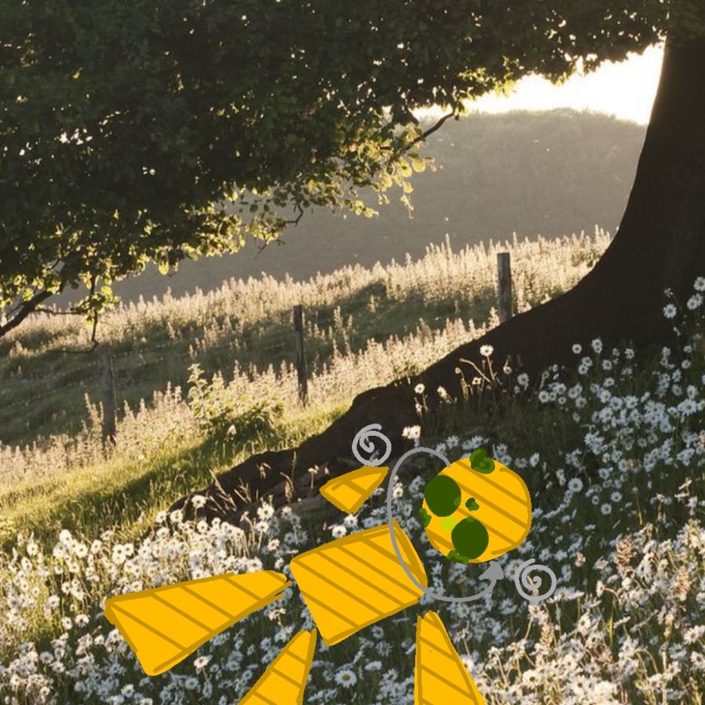 Лучок солнца