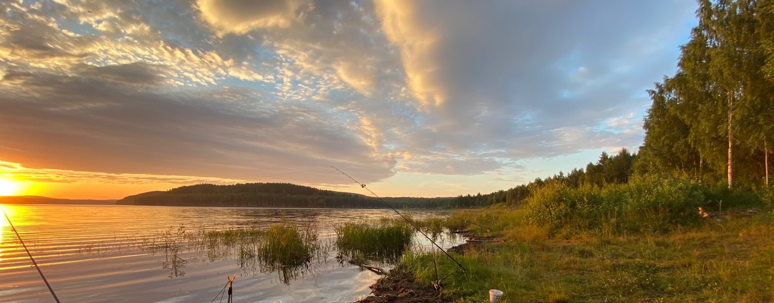Рыбин Алексей
