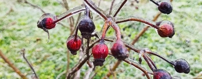 Посмотри, что я нашёл