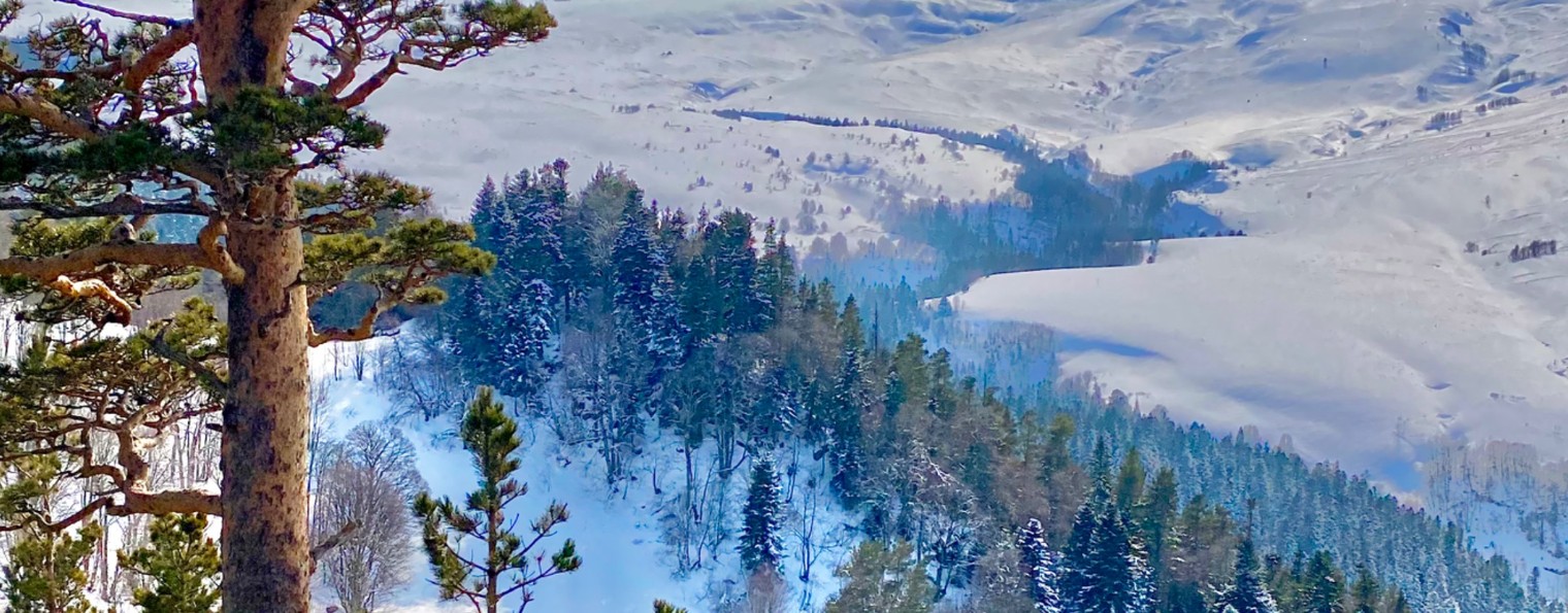 ХочуВсеЗнать