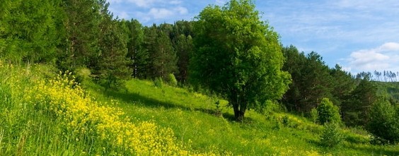 Цветик + blacktale