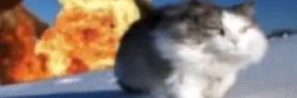 🤍웃☾Викуся☽유🖤