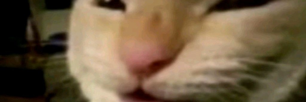 pepsiash |пепсяш ✅