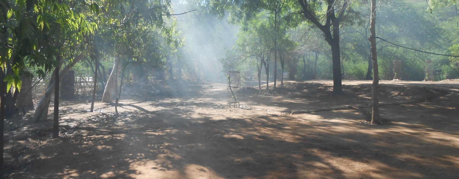 Индийские боевые искусства