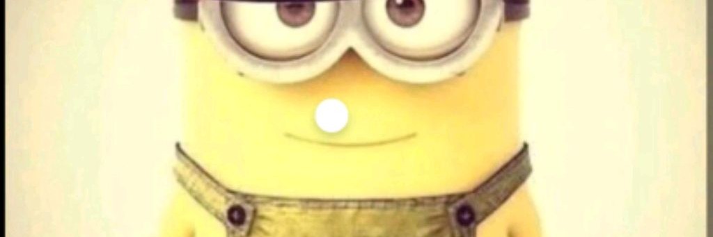 Дикий Медведь