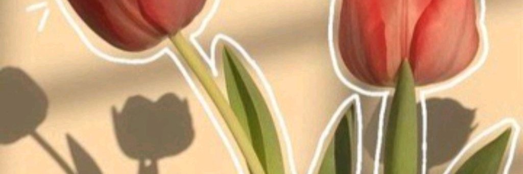 *Liza_ reborn And Love*