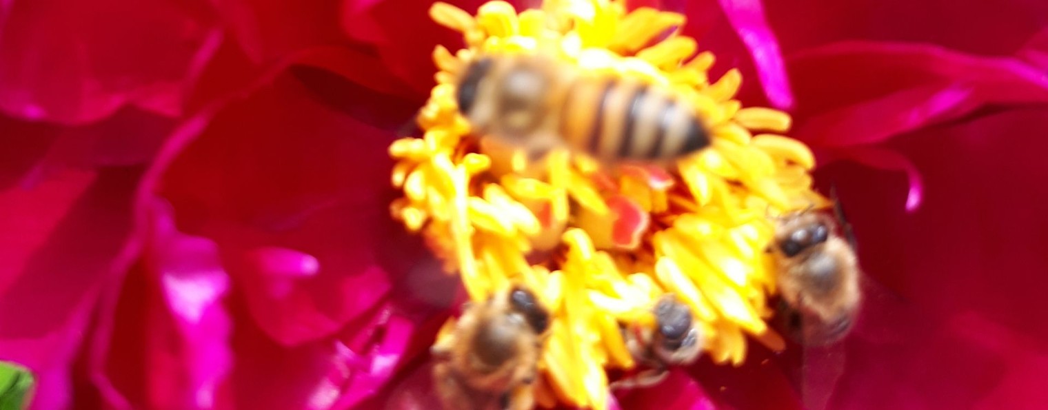 МУЗЫКА ИИ, СТИХИ Е. Касаткина.