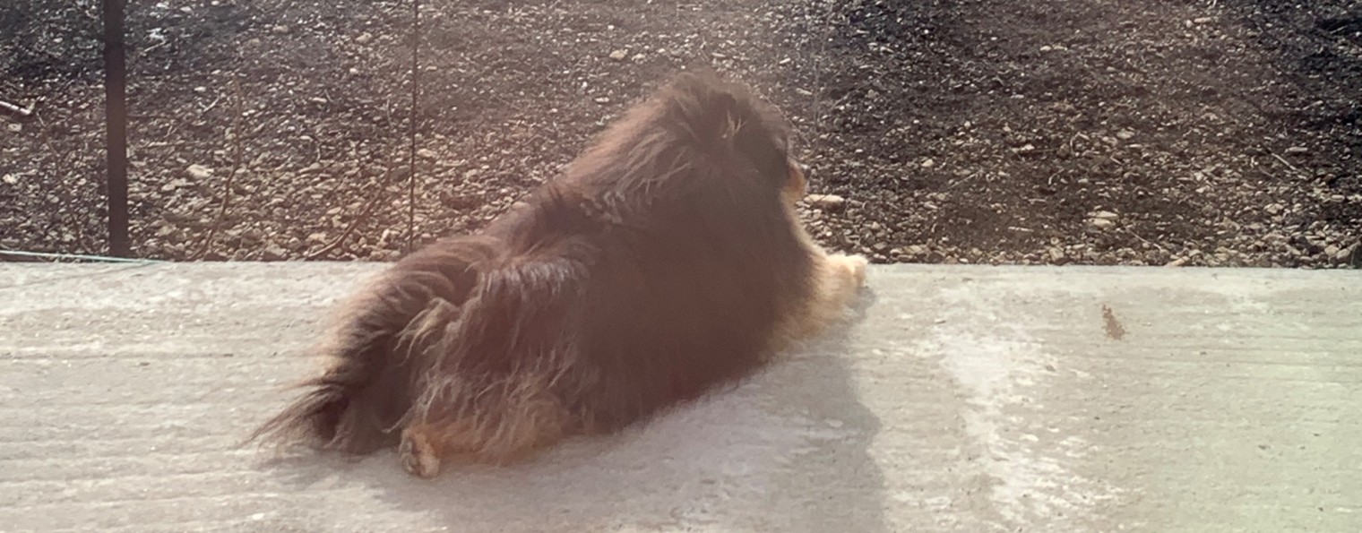 ПростоЖизнь