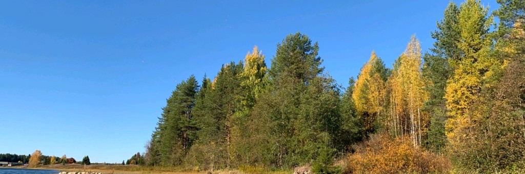 ﹤Жизнь в деревне﹥