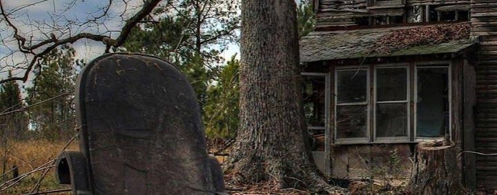 Унесенные в Деревню