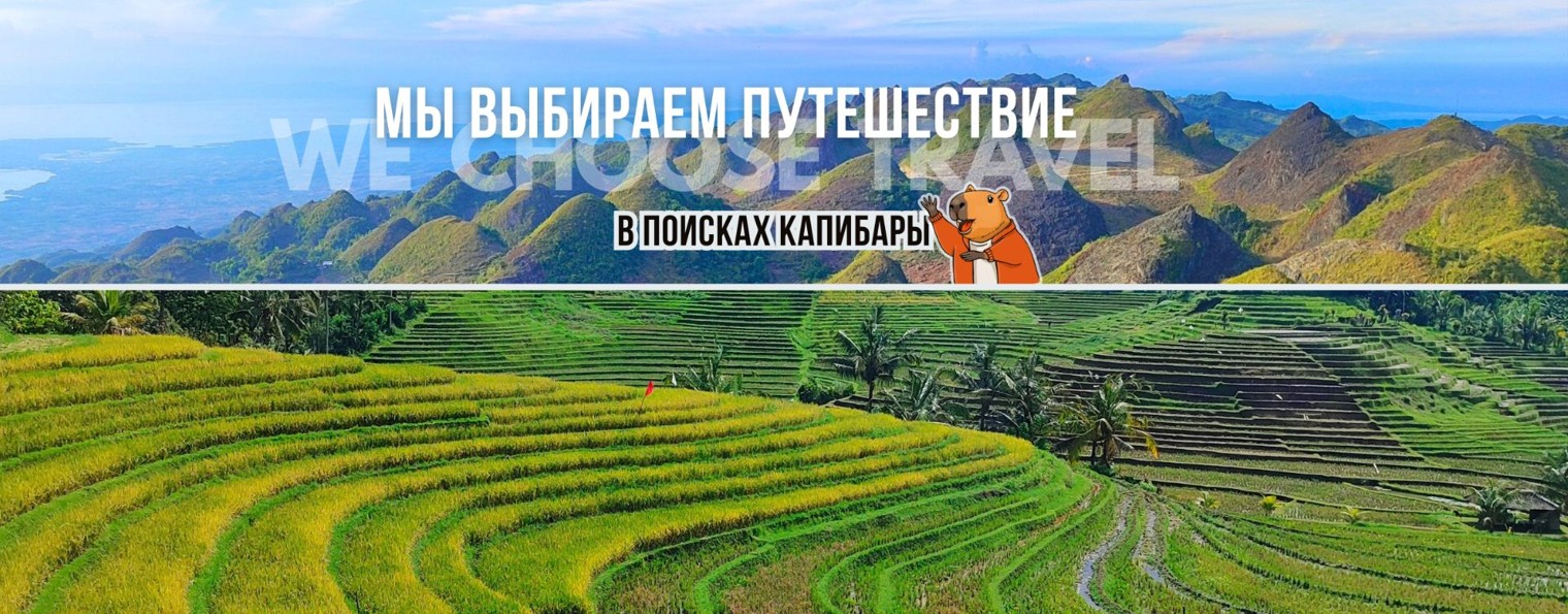 В поисках капибары