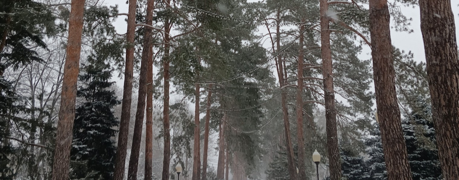 Путешествия