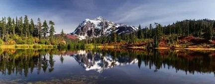 Ласковый дождь