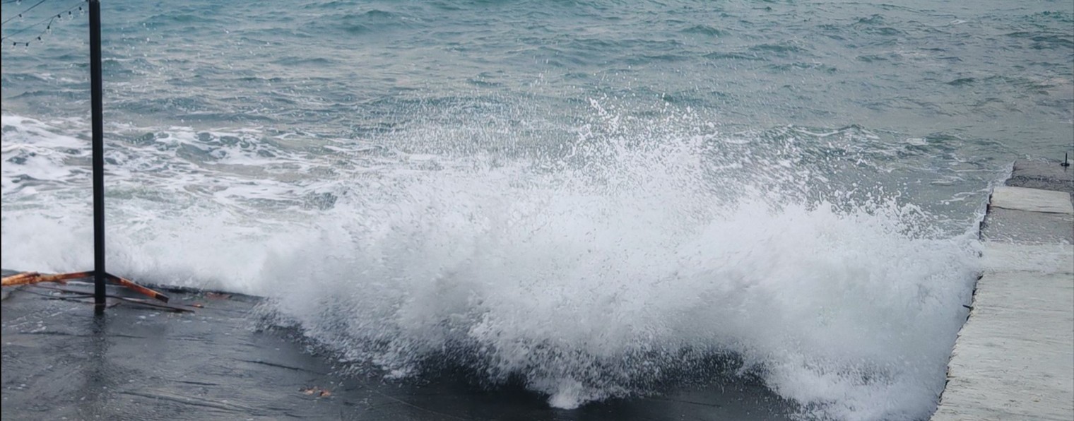 Разное. Юмор. Природа. Ремонт.