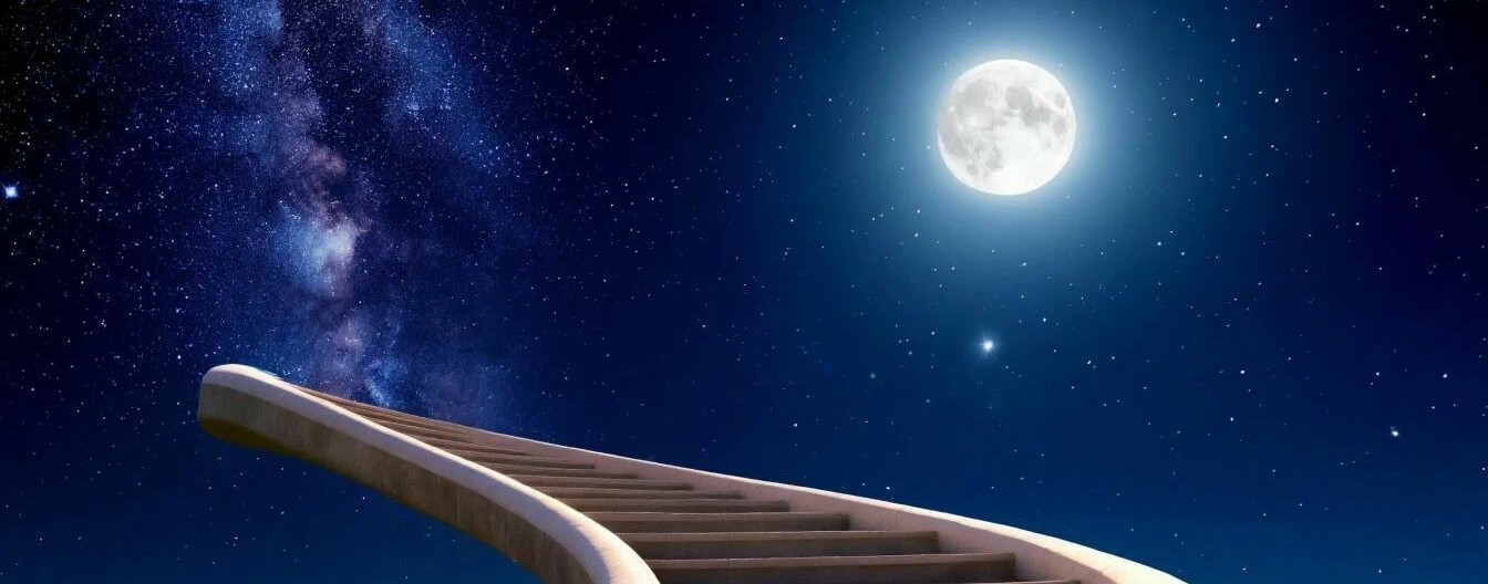 Точка Сборки