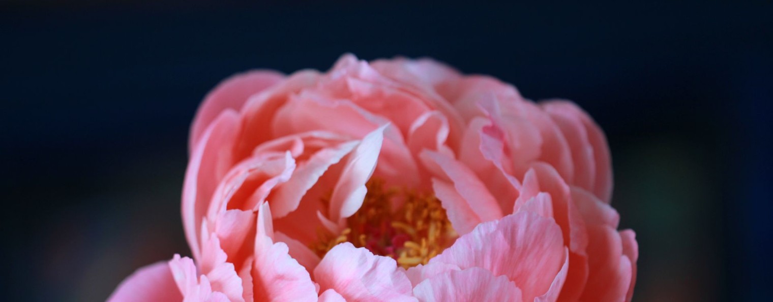 Мария Мельникова