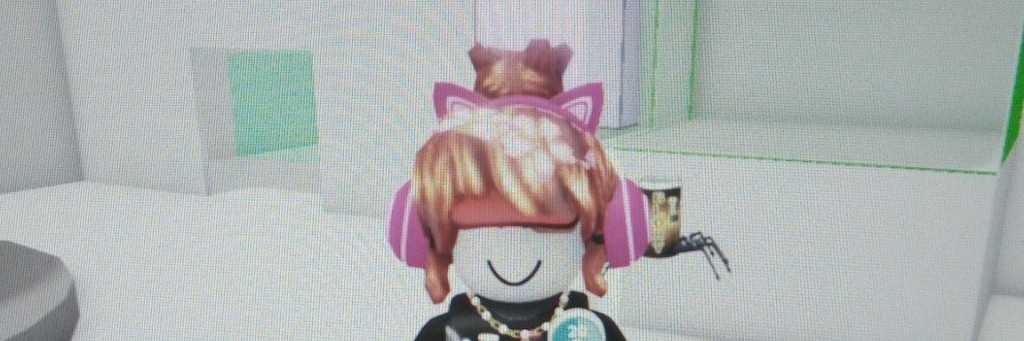 ╌Injolover╌(Фан Слайм Ранчера)