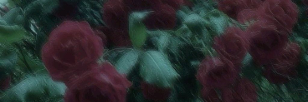 🦋🎻Мифёр🦋📖