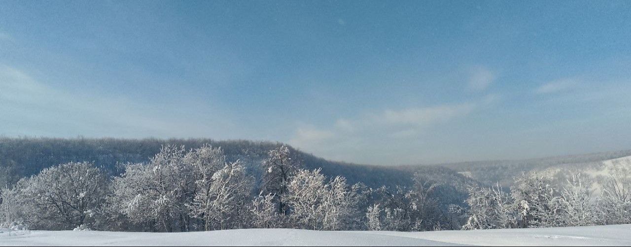 Лисьи истории