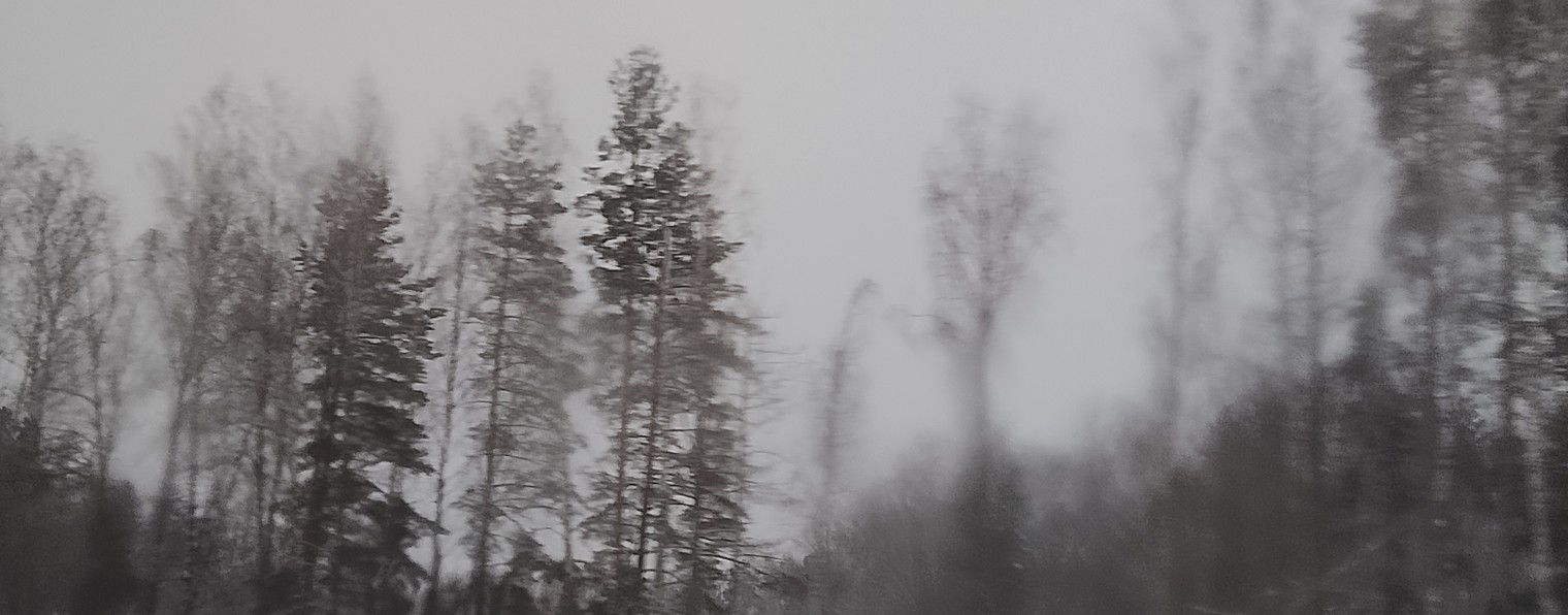 Жвачка 2013
