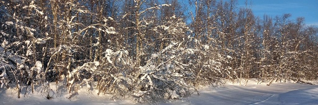 Живу за городом