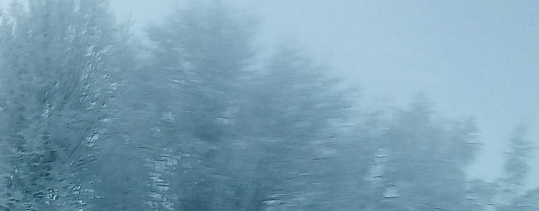 юный повар и художник