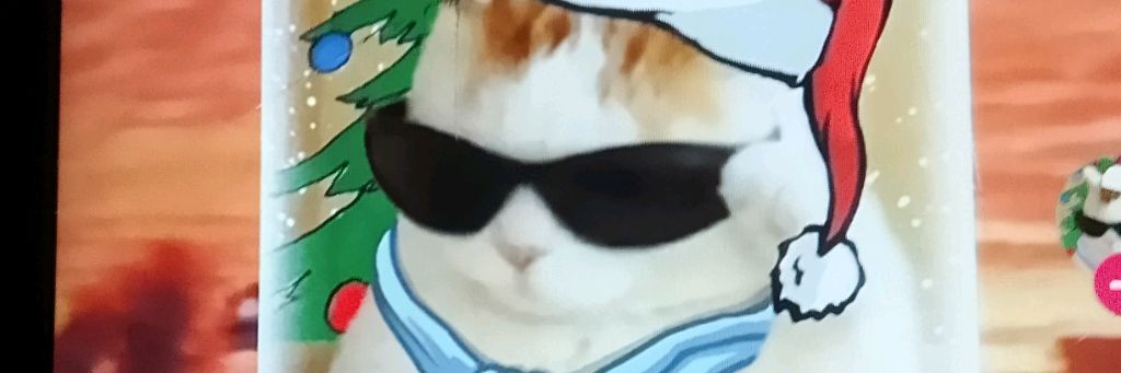 Я Домашний Кот