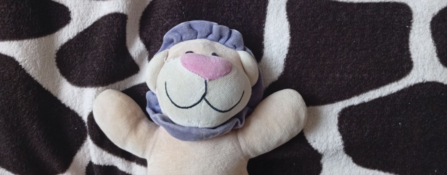 Вовкины увлечения