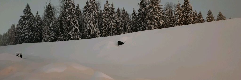 Всего понемногу