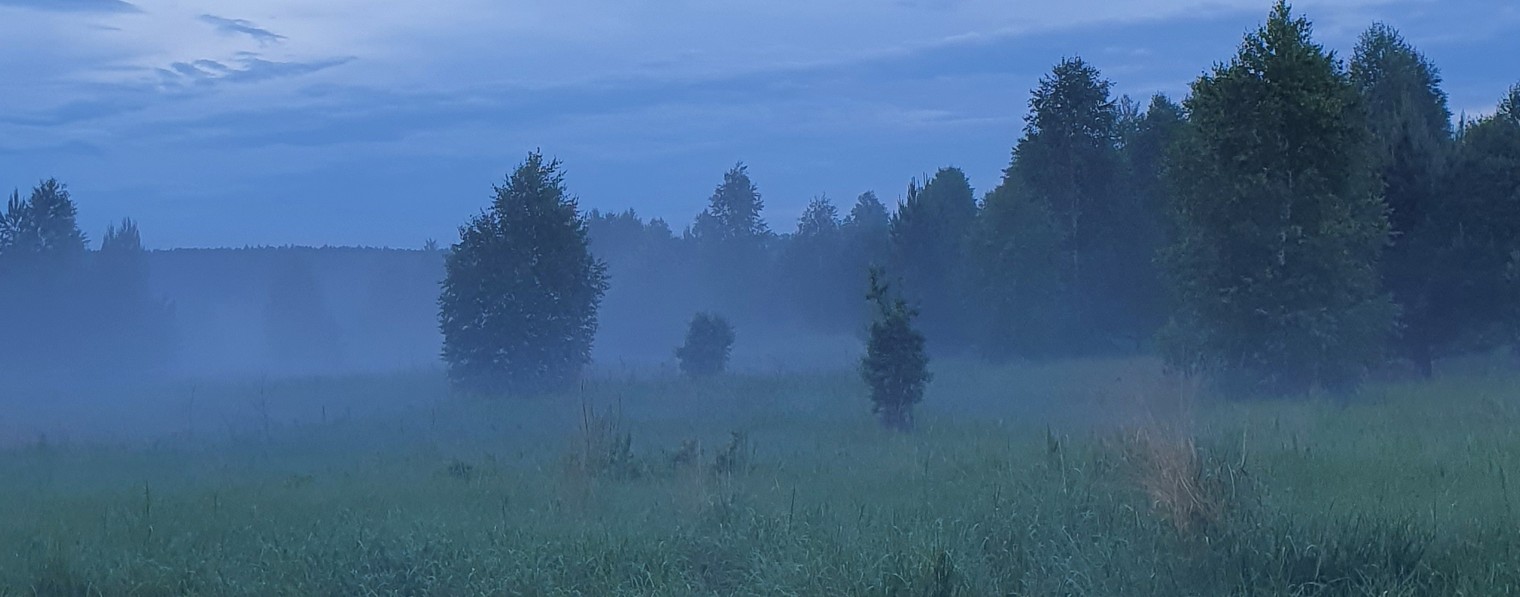 Юлия Горбатенко