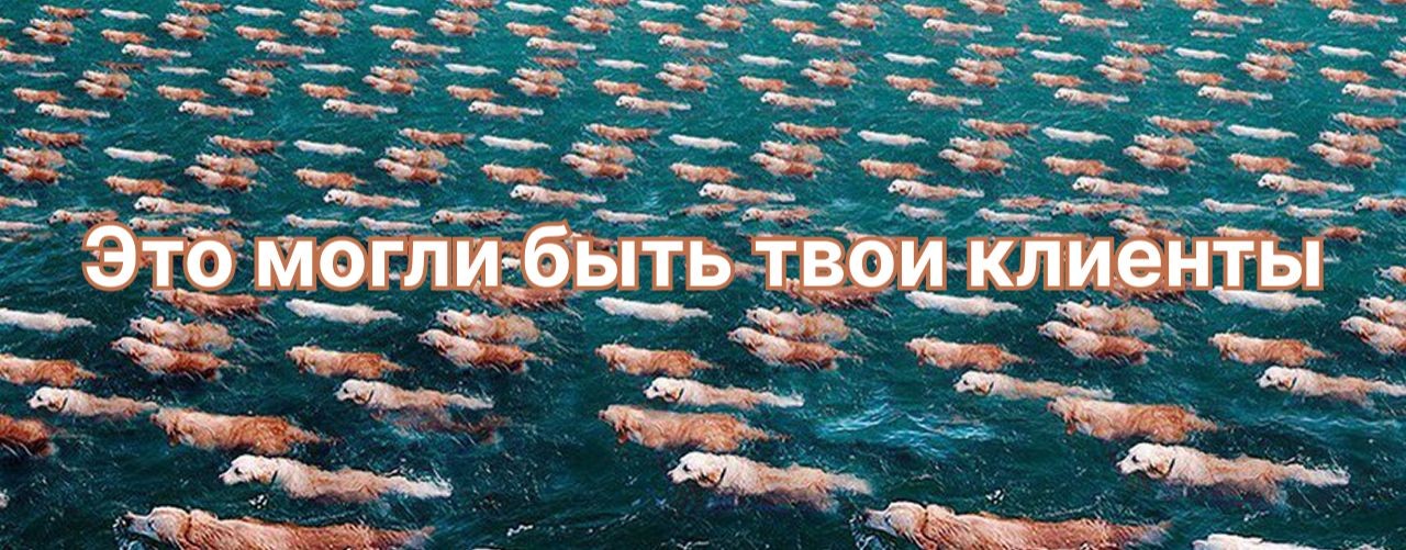 Sharapog | Канал о рекламе