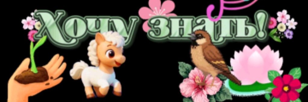 Хочу знать!