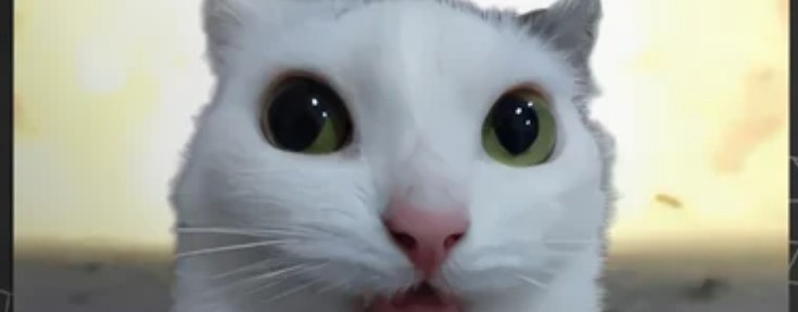 ꧁☭IVAN4IK_RT☭꧂