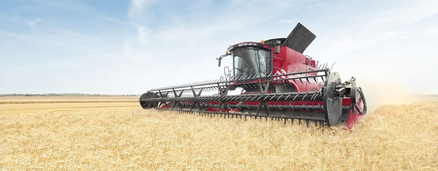 Маятник Времени