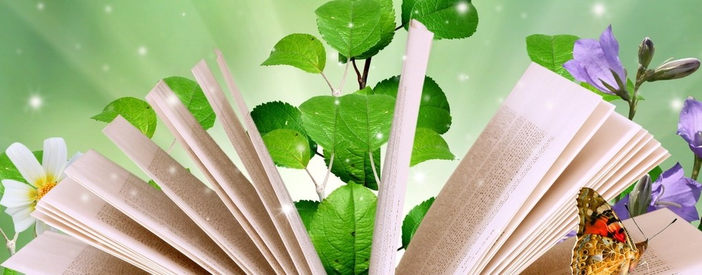 ЧИТАЕМ КНИГИ ДЕТЯМ