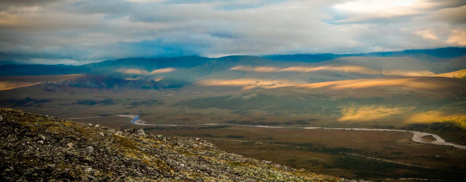 Буздалов Тимофей