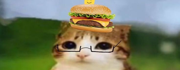 🐱🦉😰🤬007n7 meowl 🥶😷🤢😇($-$)😂💯✅🔟0️⃣^3^
