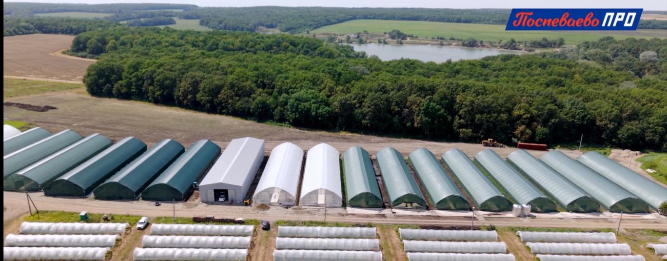 Поспеваево ПРО