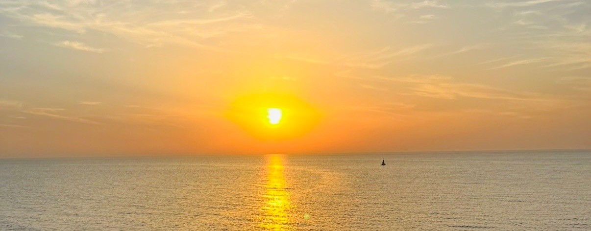 ТАРО ИНТЕГРАЦИИ