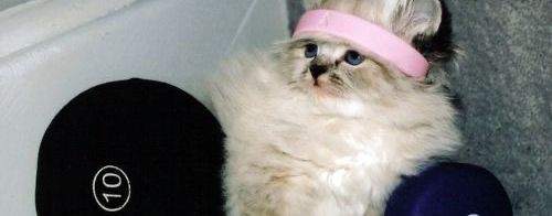 Настя Флекс