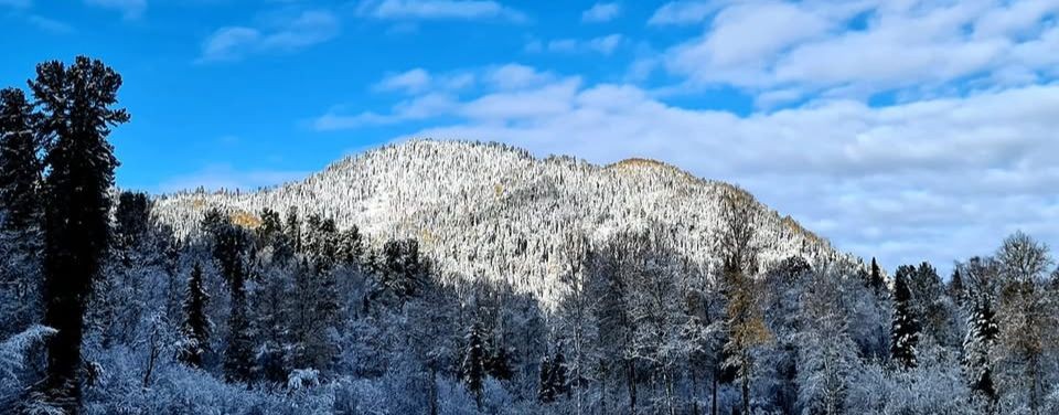 Видеоблог Ольги Усковой