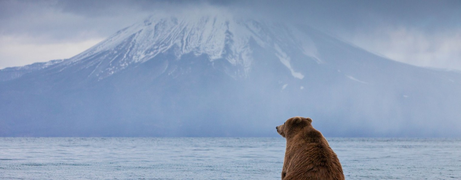 Мария Федотова - информатик