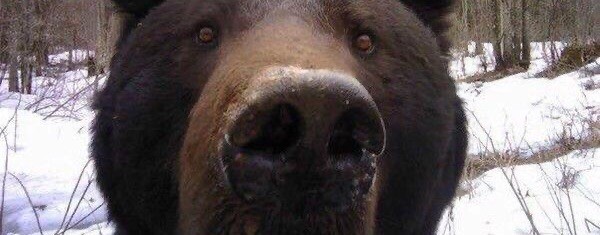 🎧_~﹥bella﹤~_🎧