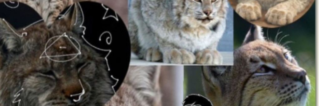 🌿★°~Garphi~°★🌿