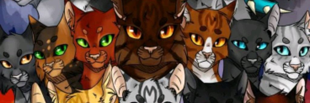 #Чернозвёзд#(КВ) {Fan "Звёздная Луна"}✔️