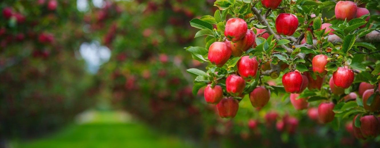 Андрей Куварзин