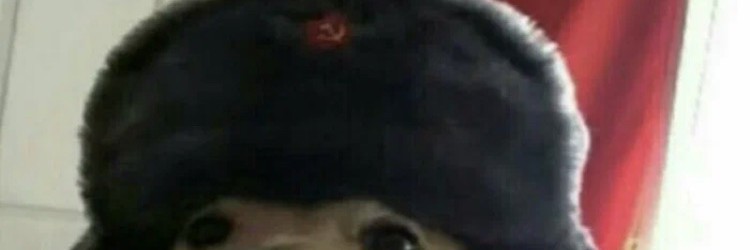 #СталинСтаралсяСоюзРаспался